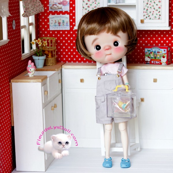 HAND MADE SHORT DUNGAREES FOR BLYTHE OBITSU 22 QBABY ORIGINAL BODY BJD ...